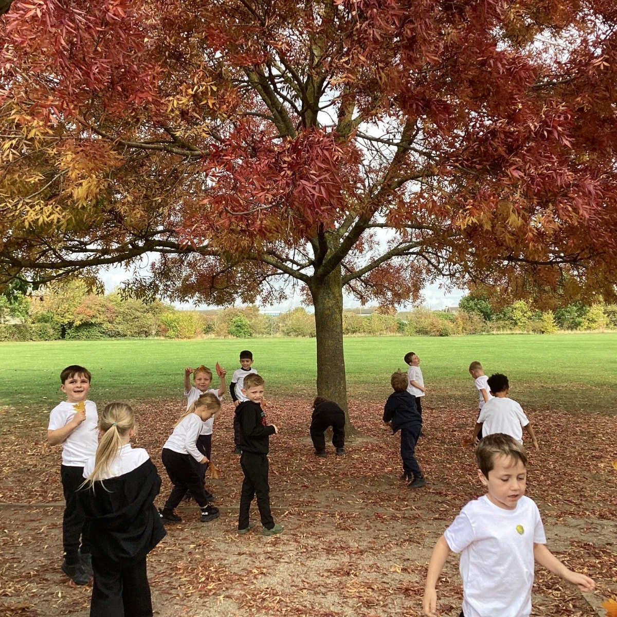 Templars Academy - Newsletter 19: 17/10/25